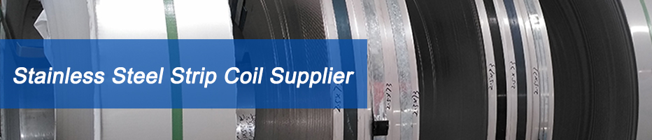 Stainless Steel Strip Coil 201 304 316l 430 Supplier In China-Teda